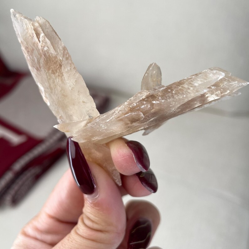 Gypsum Fan With Sand Inclusions | Gypsum Var. Selenite, Australia - Etsy