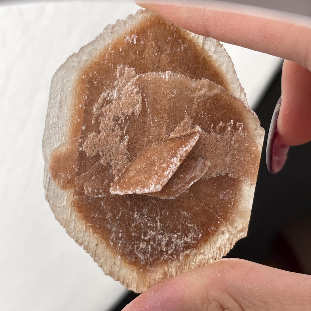 Gypsum Blade With Sand Inclusions | Gypsum Var. Selenite, Australia - Etsy