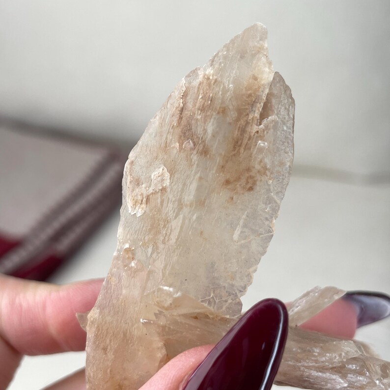 Gypsum Fan With Sand Inclusions | Gypsum Var. Selenite, Australia - Etsy