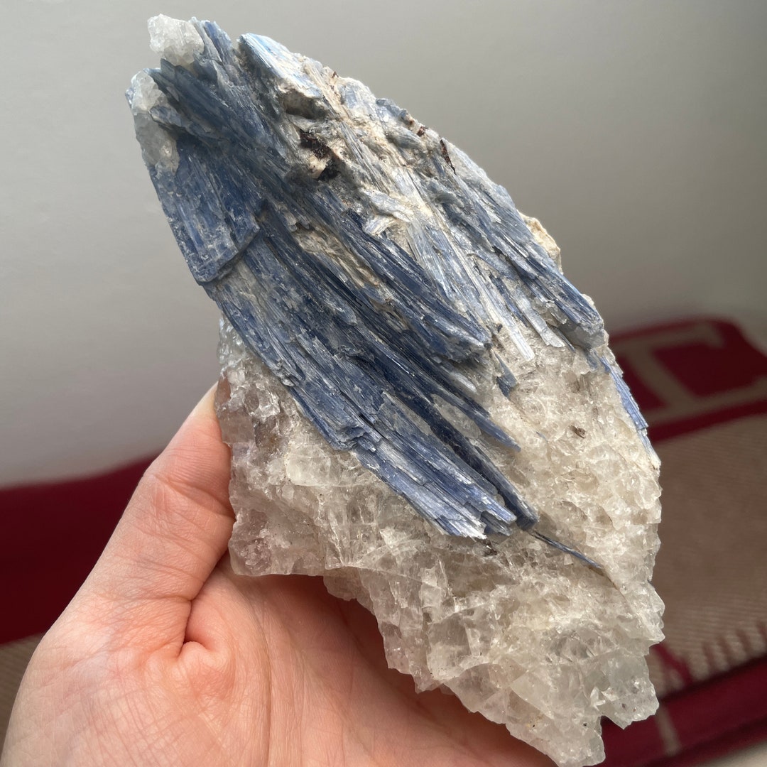 Natural Kyanite in Quartz Cluster | Raw Kyanite Specimen - Etsy
