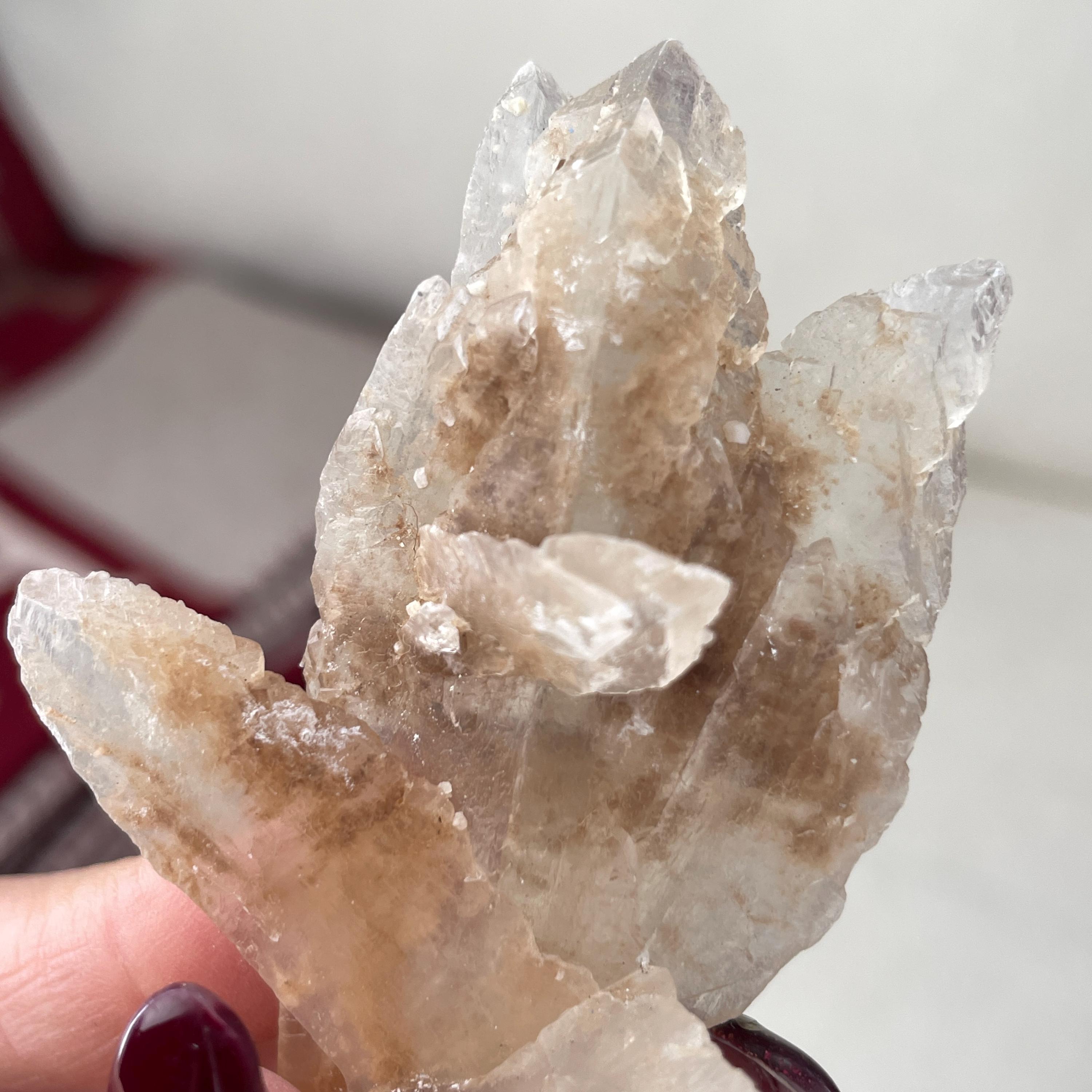 Gypsum Fan With Sand Inclusions | Gypsum Var. Selenite, Australia - Etsy