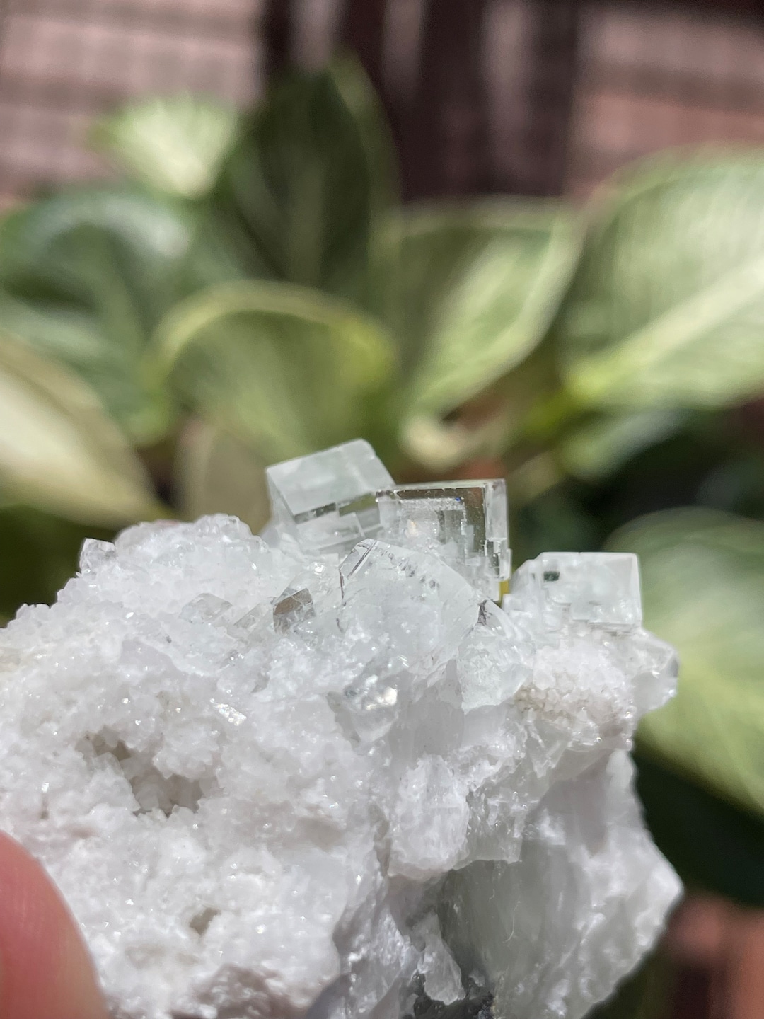 Colourless Cubic Fluorite Specimen | Raw Colourless Fluorite Mineral ...