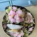 Vintage Royal Albert "alberta Rose" Provincial Flowers Teacup & Saucer ...