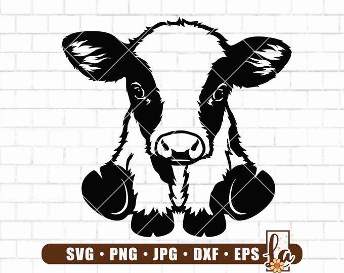 Cute Cow Sitting Svg Png | Cow Svg | Cute Cow Svg | Baby Cow Svg | Baby ...