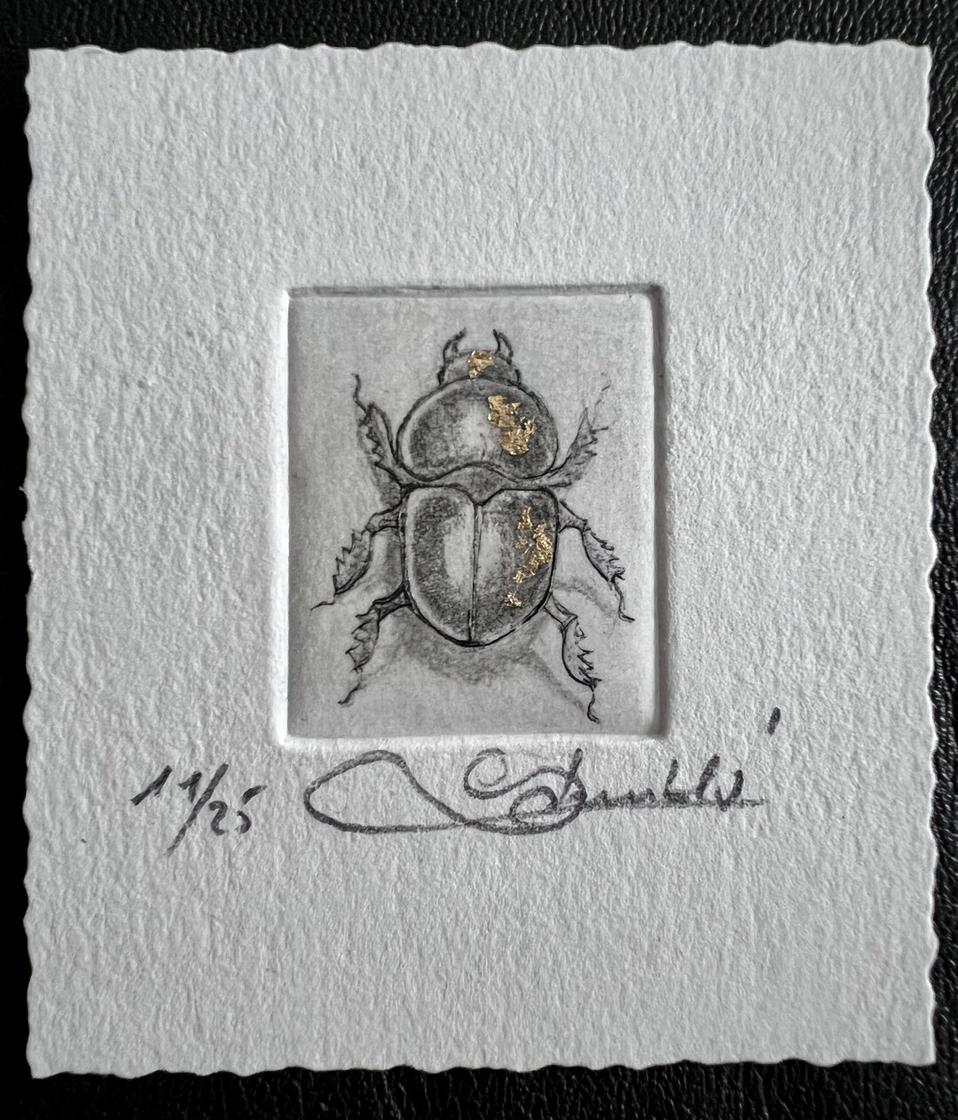 Print Engraving Dry Tip Insect - Etsy