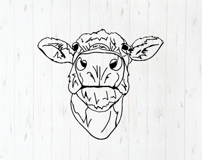 Cow Head Svg Heifer Svg Cow Svg Cow Cut File Cow Clip Art Cow Face Png ...