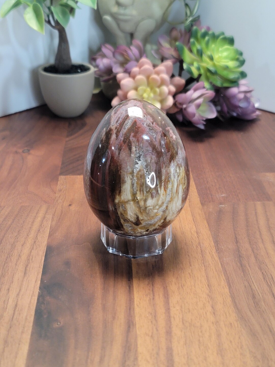 Pretty Petrified Wood Egg Crystal Carving A Druzy Pockets 3.4 Inches ...