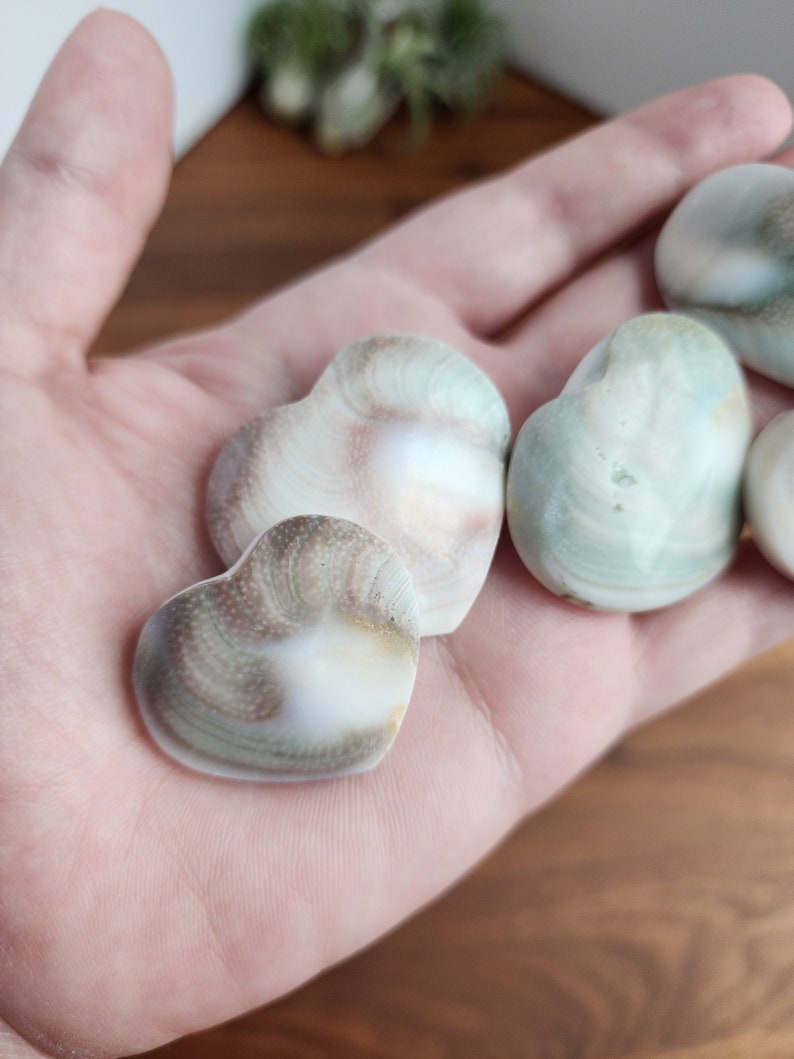 Crystal Shiva Shell Heart: Swirled White and Rainbow Colors - Etsy