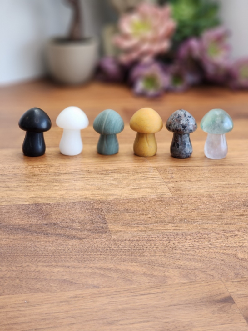 Chunky Crystal Mushroom: Obsidian, Jade, Fluorite, Yooperlite ...