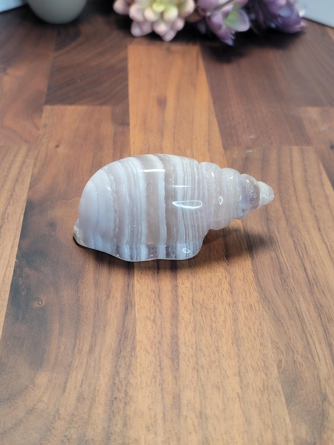 Fluorite Banded Seashell Crystal Carving | A | 3.75 Inches | White Gray ...