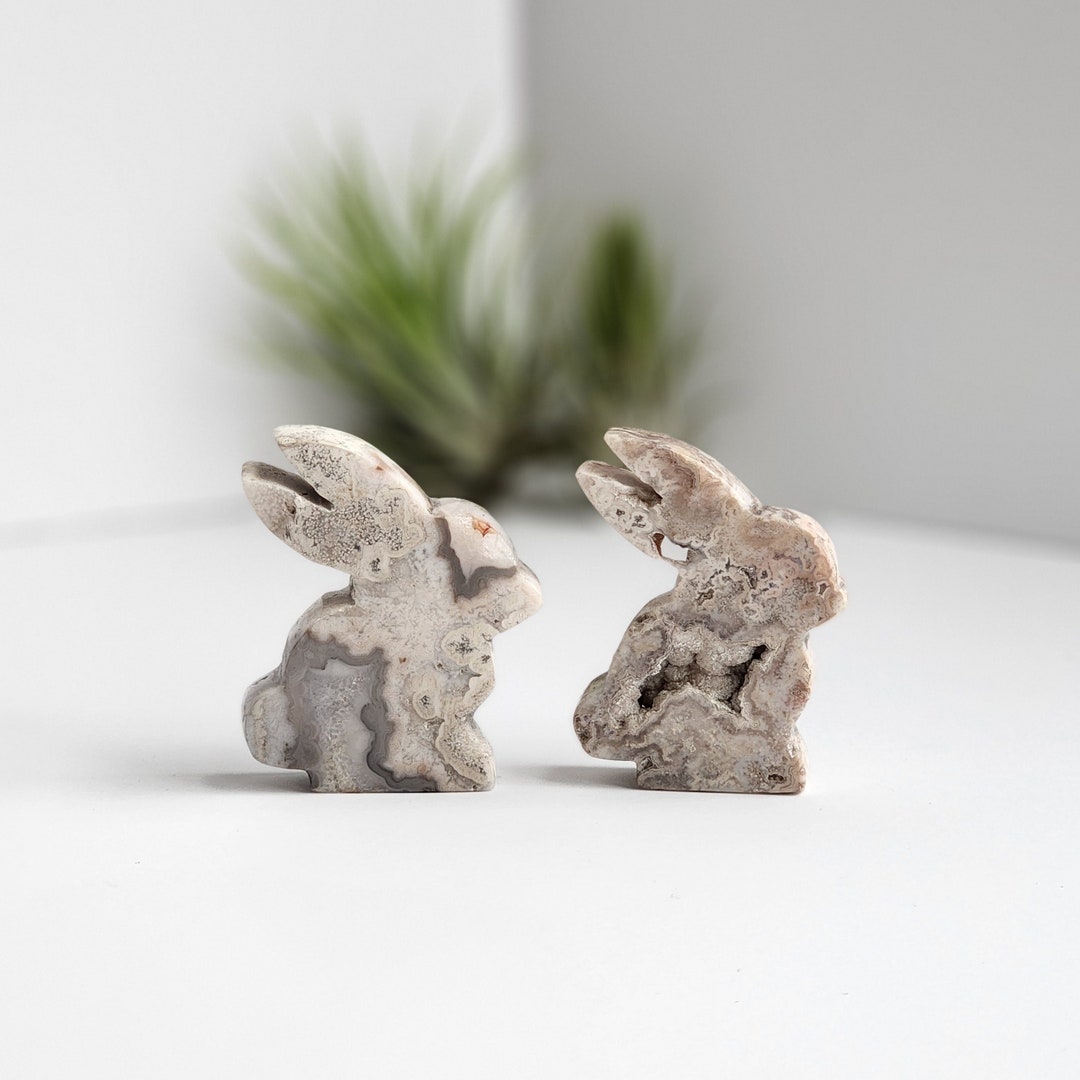 Gray Crazy Lace Agate Bunny | Large Carving | Choose Your Own Crystal ...