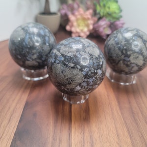 Radiant Rhyolite Que Sera Crystal Sphere | 66 MM | Blue and Black ...