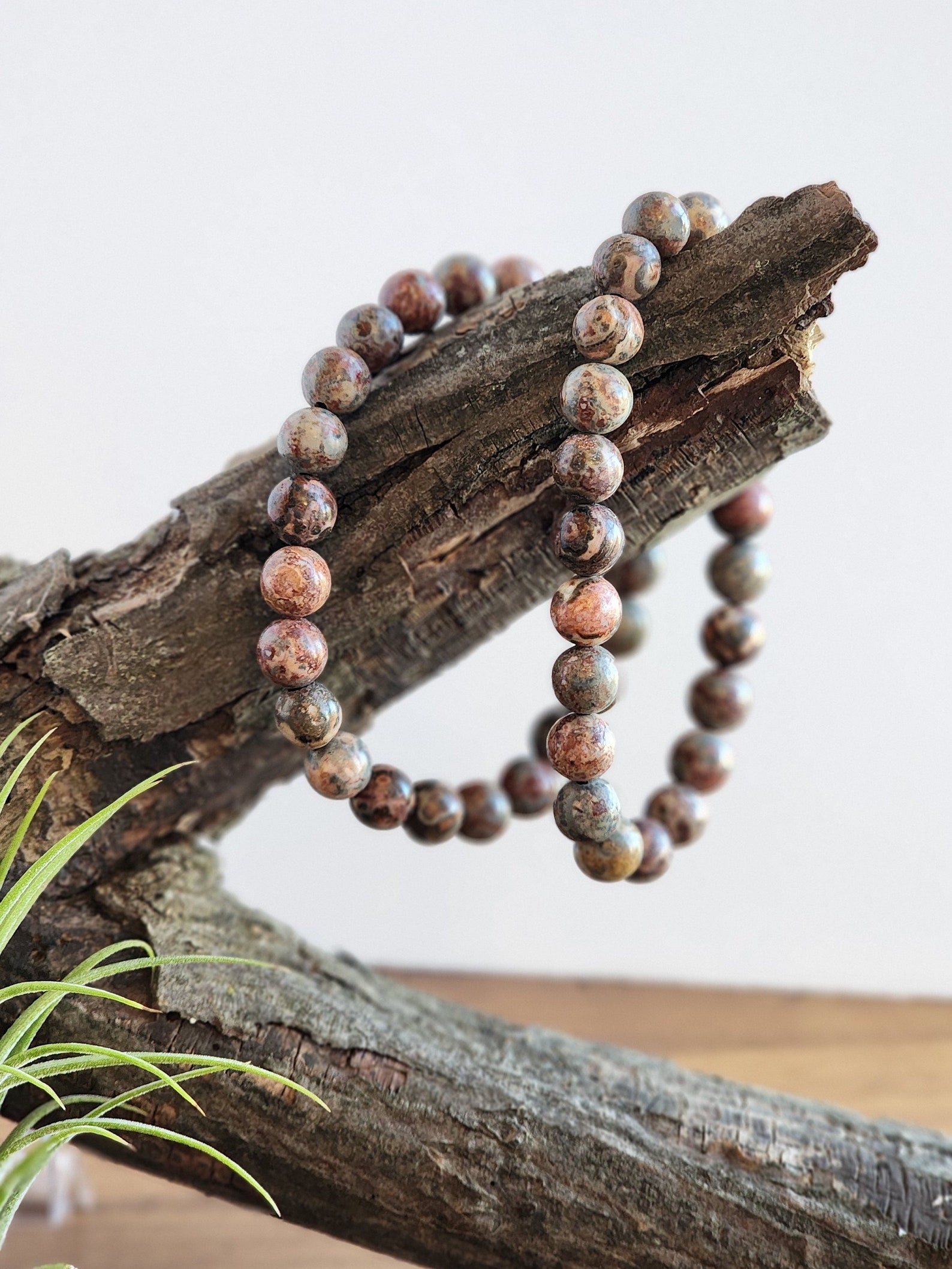 Leopardite Safari Jasper | 8MM Crystal Bracelet | Jaguar or Leopard ...