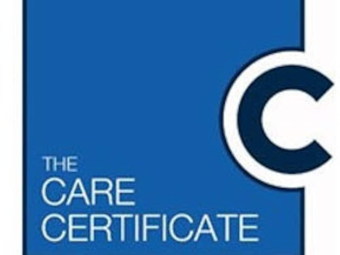 Care Certificate FULLY Completed Workbooks 1-5 - Etsy UK
