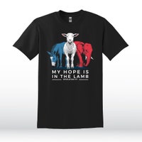 CMYK Color Wheel for DTF Printing - Etsy