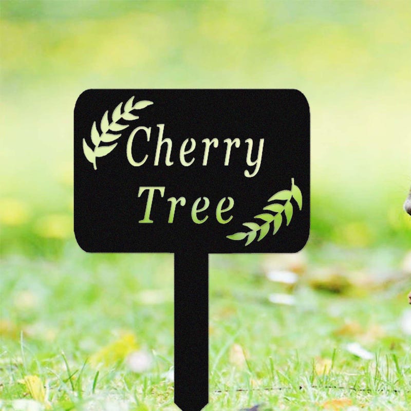 Fruit Tree Label Signs - Etsy
