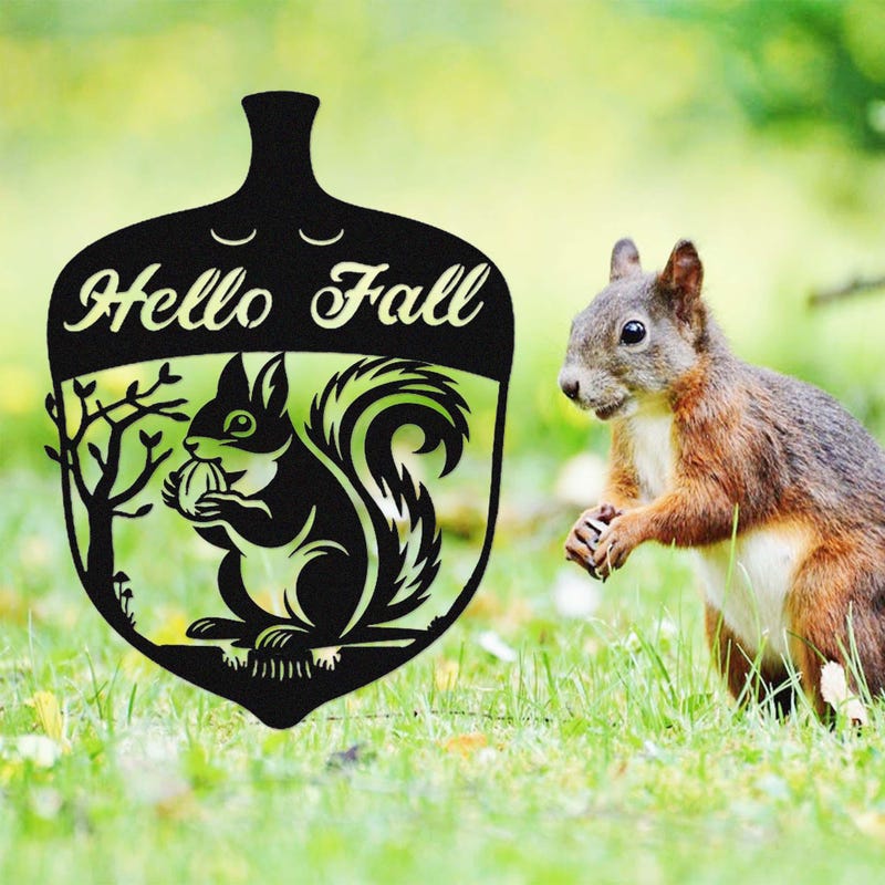 Squirrel House - Etsy