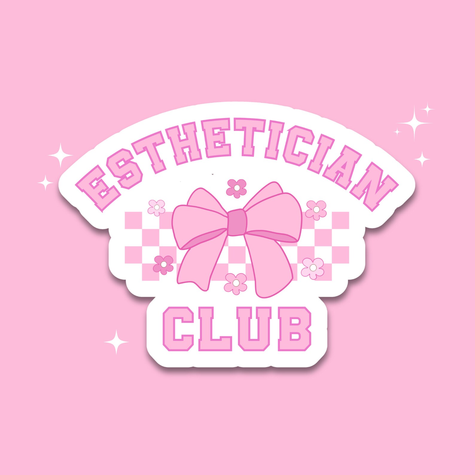 Coquette Esthetician Stickers, Esthi Skincare Sticker, Esthetician ...