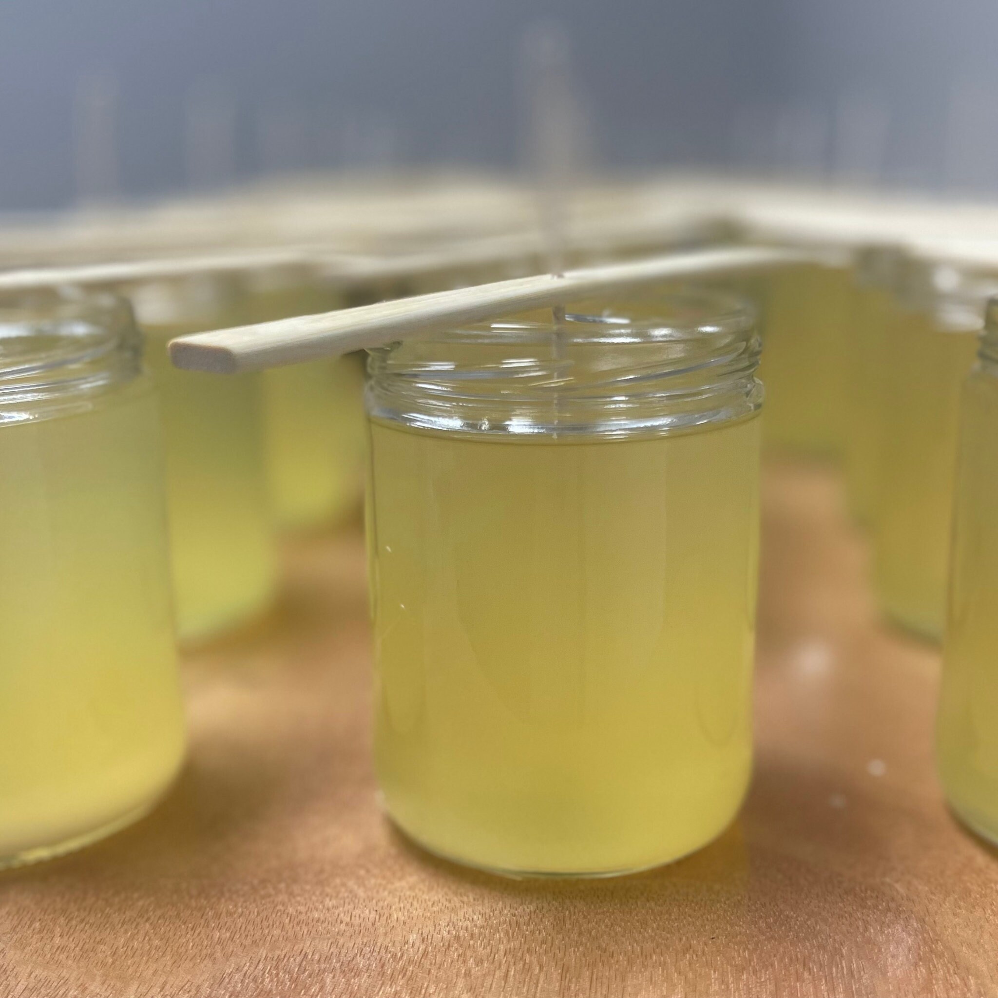 Wholesale 16 Oz Candles: Bulk Unlabeled Candles, Client Corporate Gifts ...