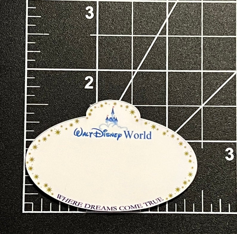 Disneyland - Disney World Blank Name Tag Flat Back Planar Resin | Hair ...