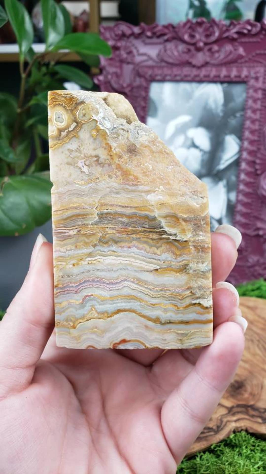 Beautiful Mexican Crazy Lace Agate Slice / Amazing Sparkly Crystal Slab ...