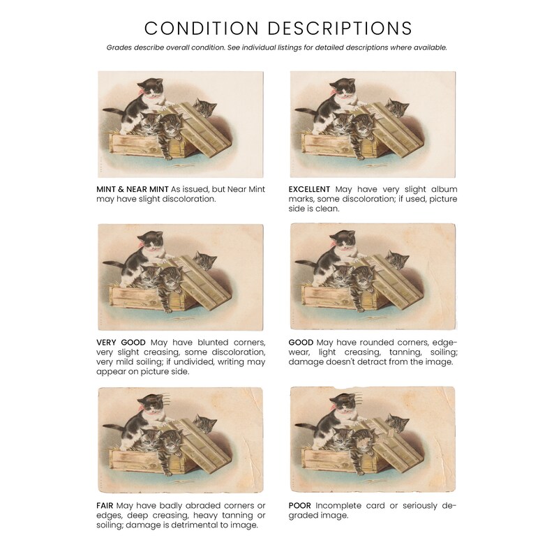 Ca. 1917 some Tale WWI British Military Cat Postcard Antique Raphael ...