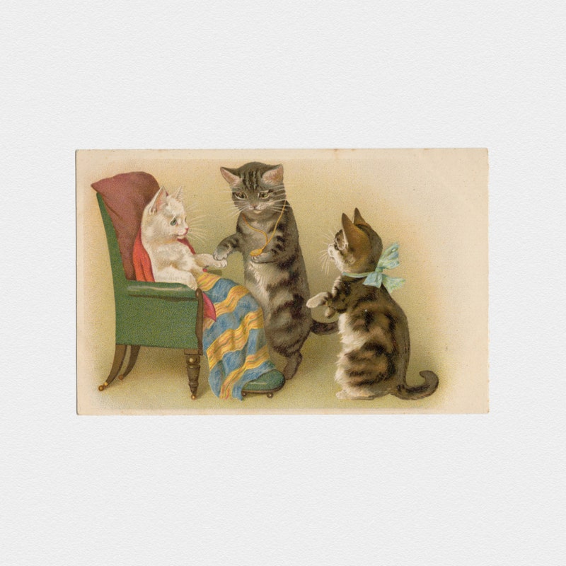 Antique Cat Postcard - Etsy