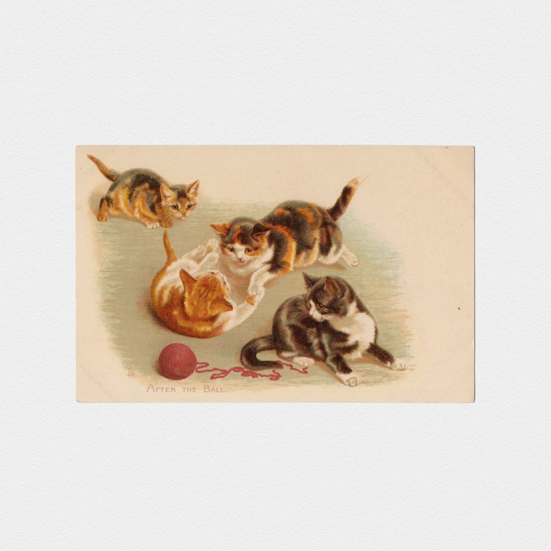 Helena Maguire Cats - Etsy