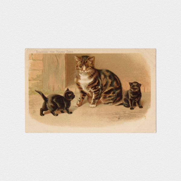 Helena Maguire Cats - Etsy