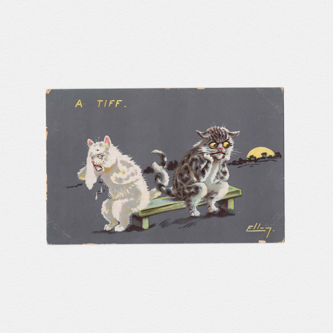 1910s Ellam "a Tiff" Chromo Cat Postcard, Artist Signed | Antique ...