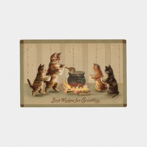 Helena Maguire Cats - Etsy