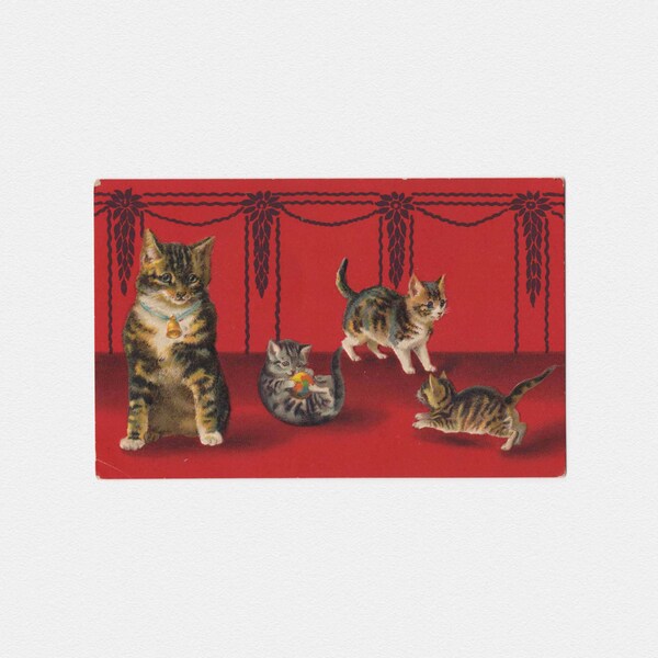 Helena Maguire Cats - Etsy