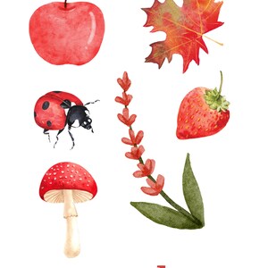 Nature Watercolor Art Color Flashcards / Homeschool / Nature Study ...