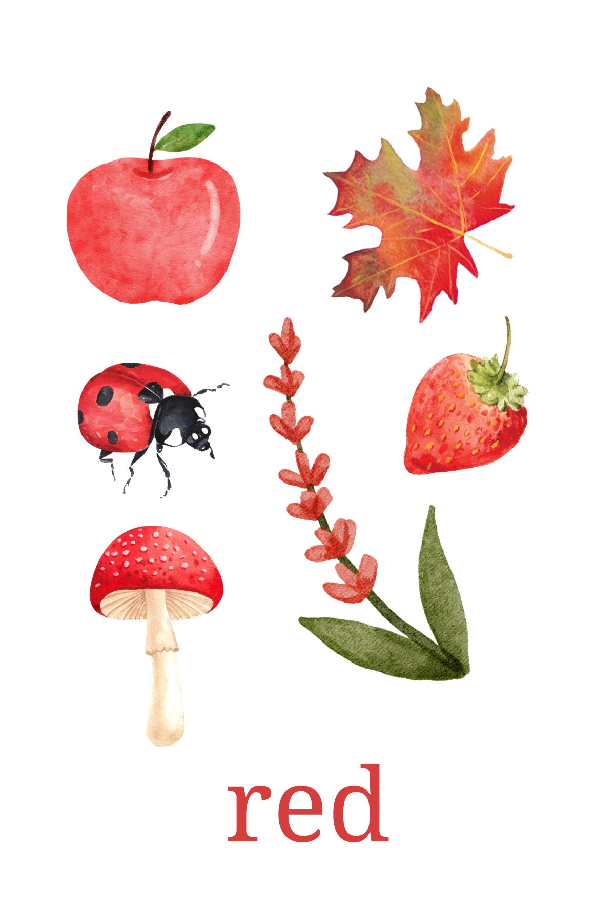 Nature Watercolor Art Color Flashcards / Homeschool / Nature Study ...