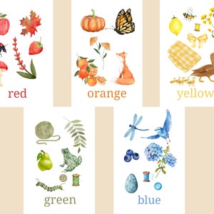 Nature Watercolor Art Color Flashcards / Homeschool / Nature Study ...