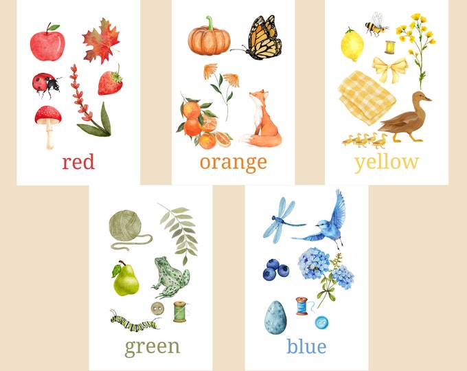 Nature Watercolor Art Color Flashcards / Homeschool / Nature Study ...