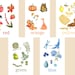 Nature Watercolor Art Color Flashcards / Homeschool / Nature Study ...