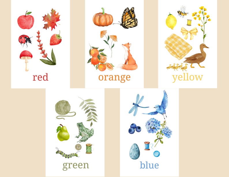 Nature Watercolor Art Color Flashcards / Homeschool / Nature Study ...