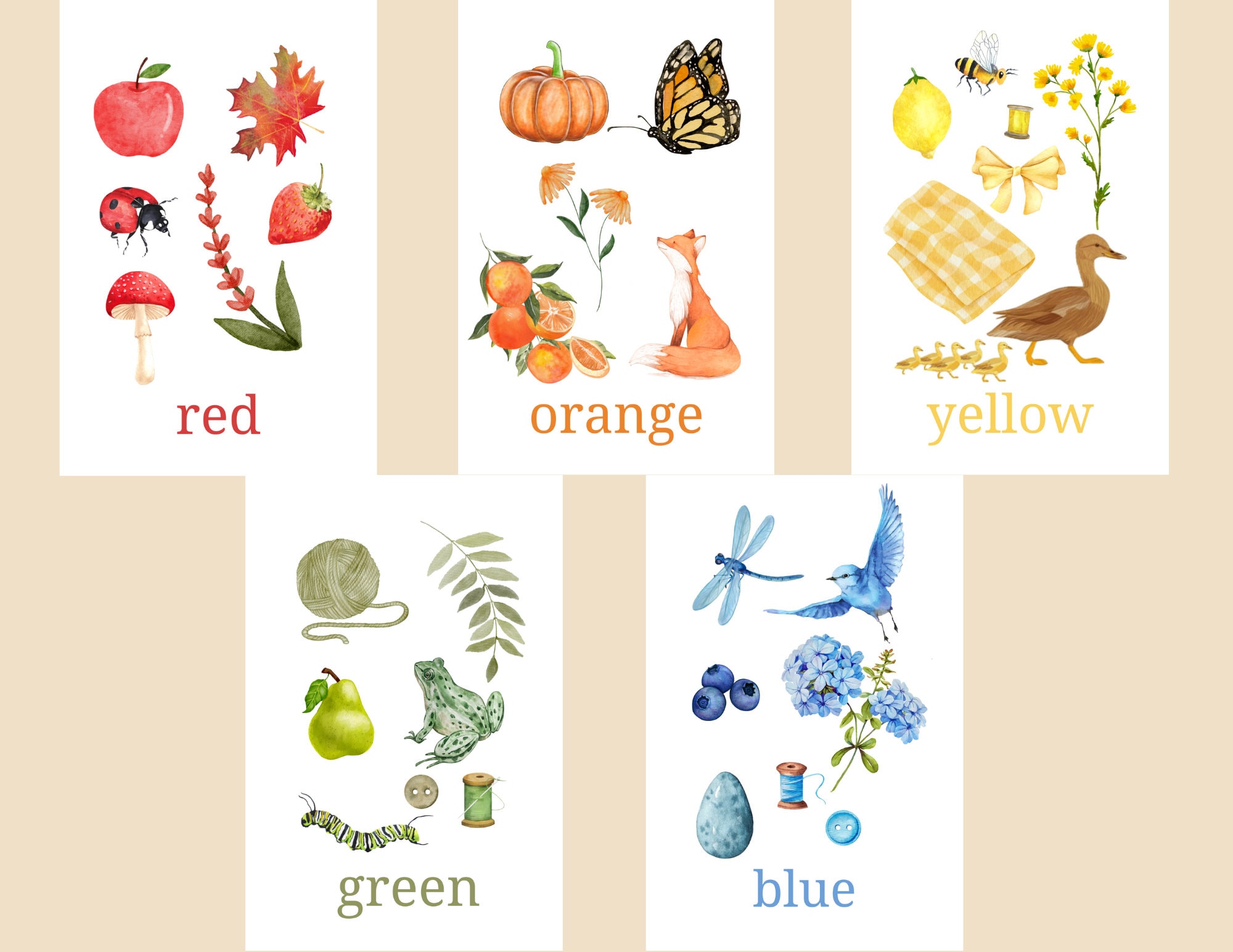 Nature Watercolor Art Color Flashcards / Homeschool / Nature Study ...