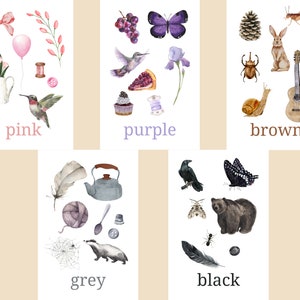 Nature Watercolor Art Color Flashcards / Homeschool / Nature Study ...