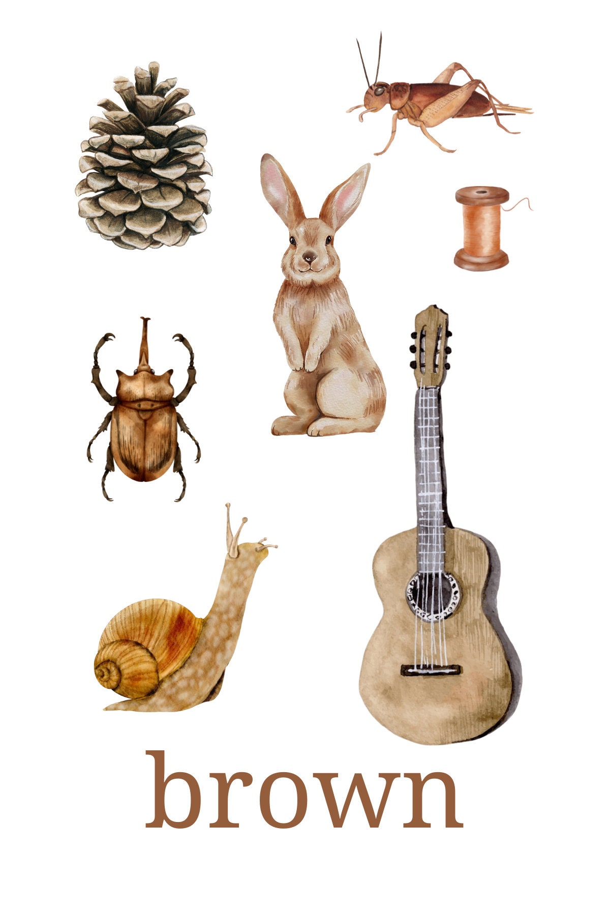 Nature Watercolor Art Color Flashcards / Homeschool / Nature Study ...