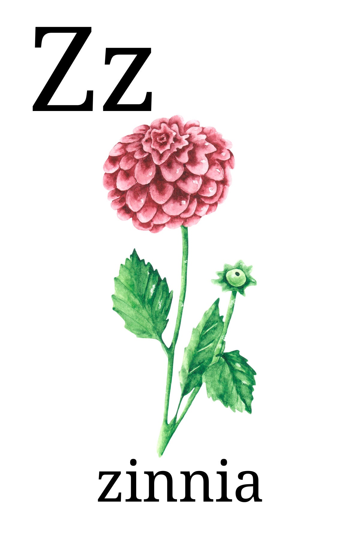 Homestead Themed Alphabet Flashcards/ Watercolor Alphabet Flashcards ...