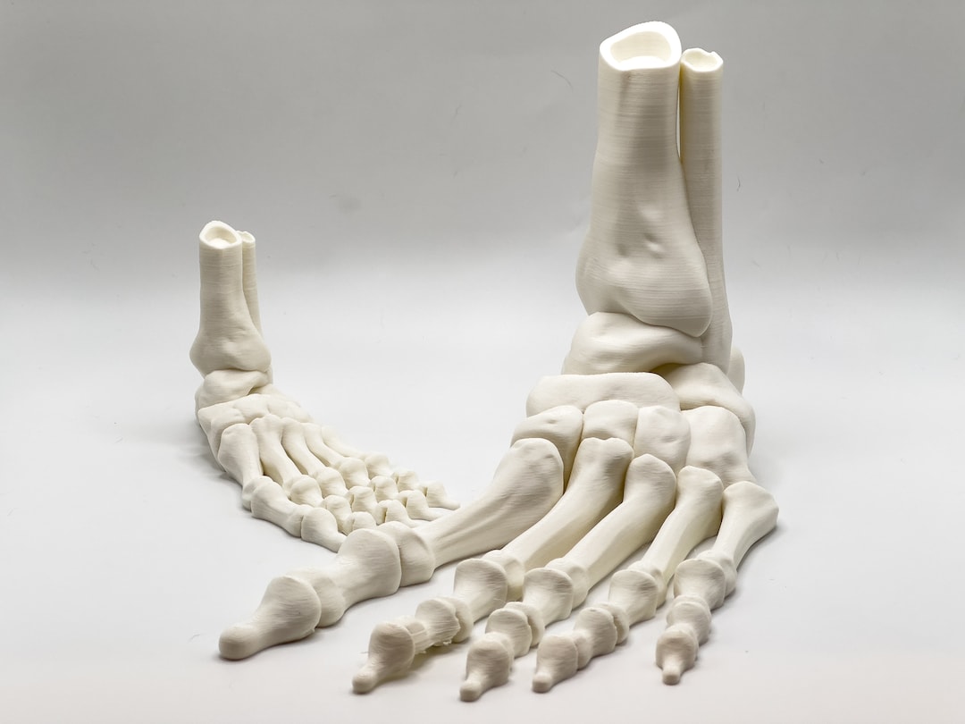 Spooky and Playful 3D Printed Skeleton Foot - Halloween Decor - Etsy
