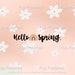 Hello Spring, Floral Desktop Background , Beige Desktop Wallpaper ...