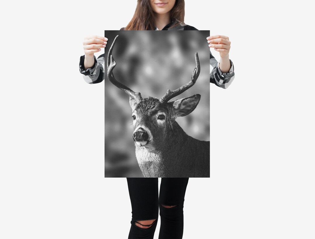 Black and White DEER Printable Poster Wall Decor Art, UNFRAMED Baby ...