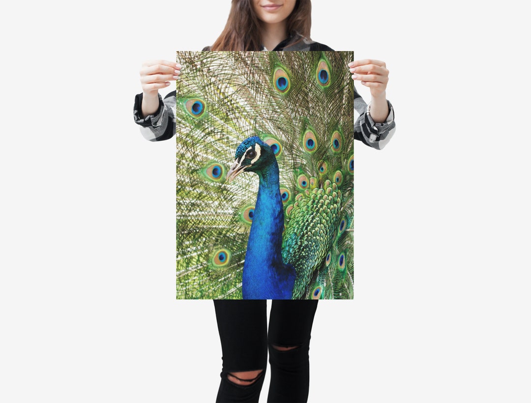 PEACOCK Peafowl Printable Poster Wall Decor Art, UNFRAMED Baby Woodland ...