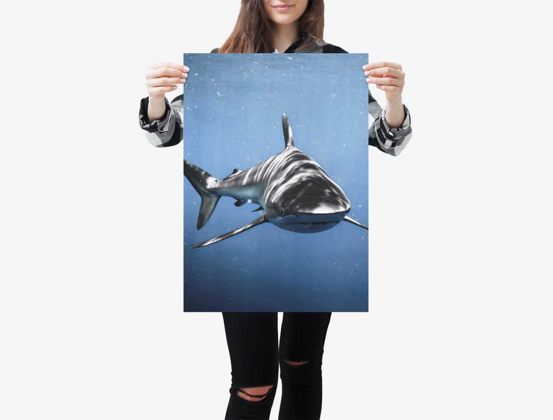 SHARK Printable Poster Wall Decor Art, UNFRAMED Baby Woodland Forest ...