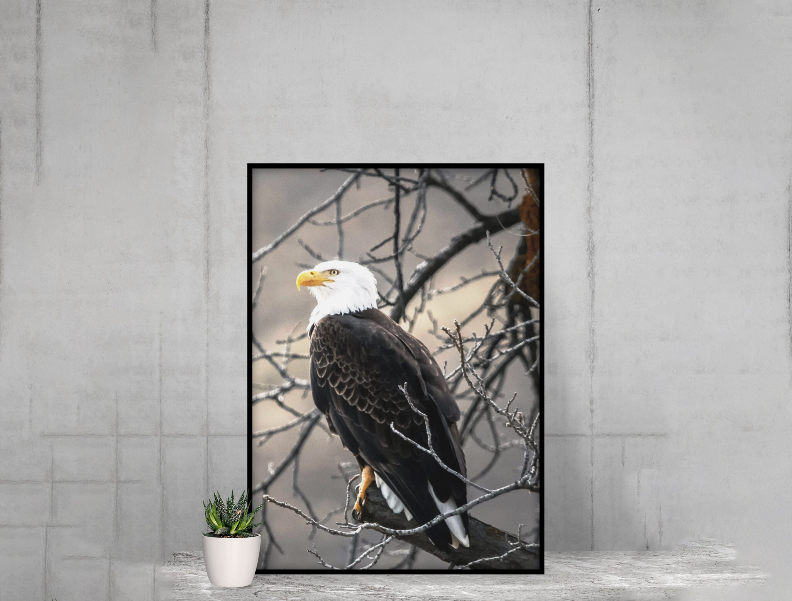 EAGLE Printable Poster Wall Decor Art, UNFRAMED Baby Woodland Forest ...