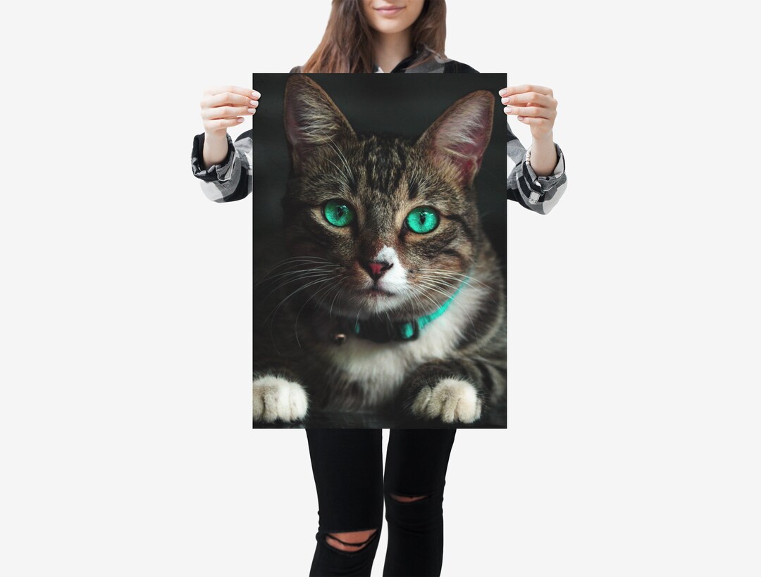 CAT Printable Poster Wall Decor Art, UNFRAMED Baby Woodland Forest ...