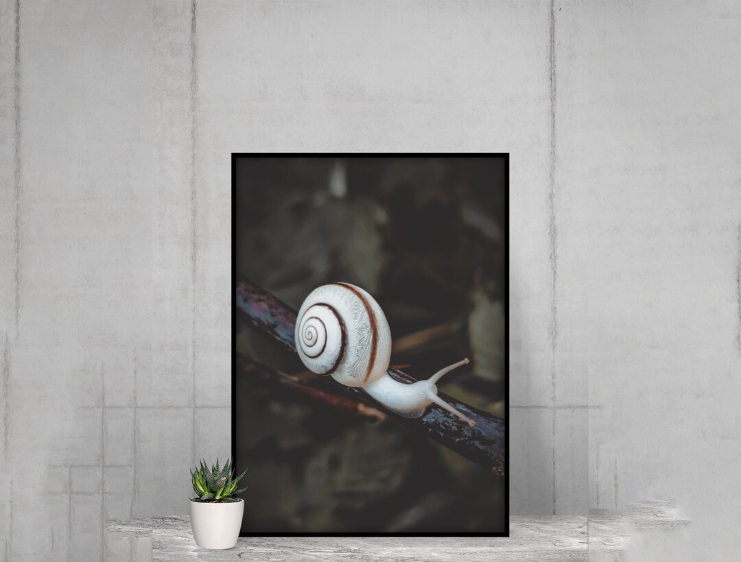 FRAMED SNAIL Poster Wall Decor Art, Baby Woodland Forest Animal Nursery ...
